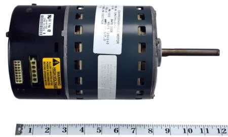 Blower Motor